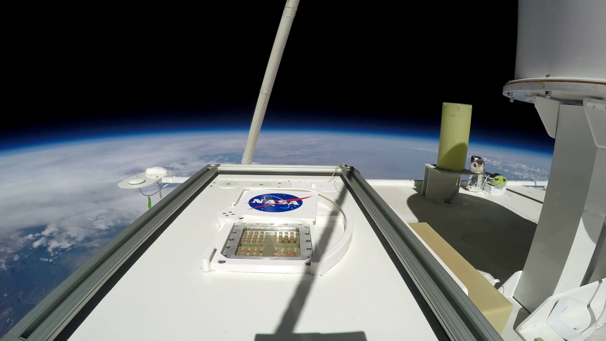 Martian meals: Food could be grown on Mars to sustain a human colony