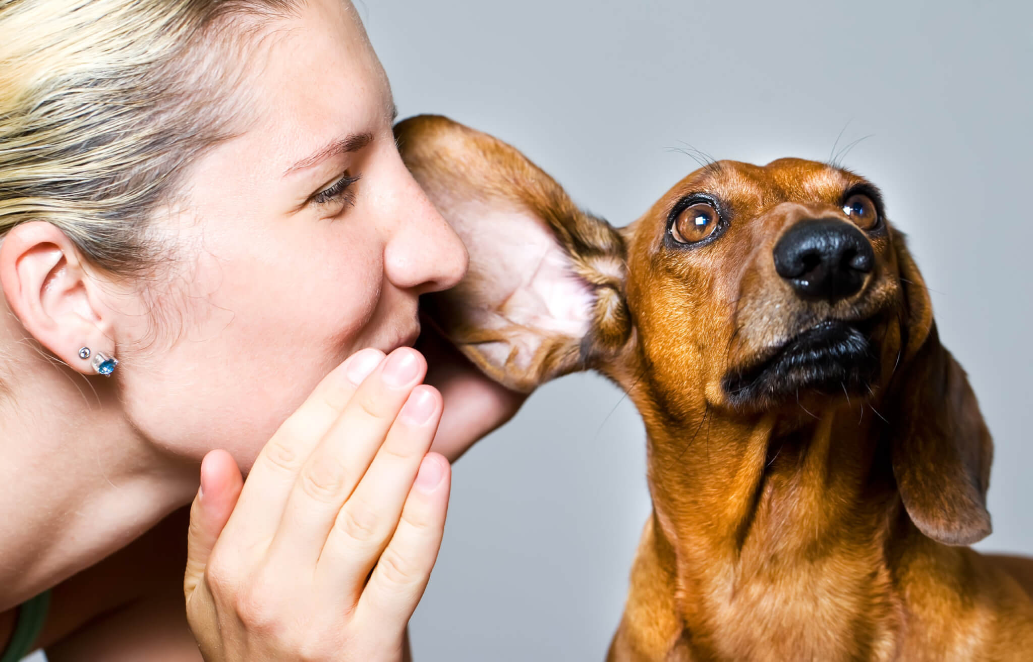 Over half of adults admit they have conversations with inanimate ...