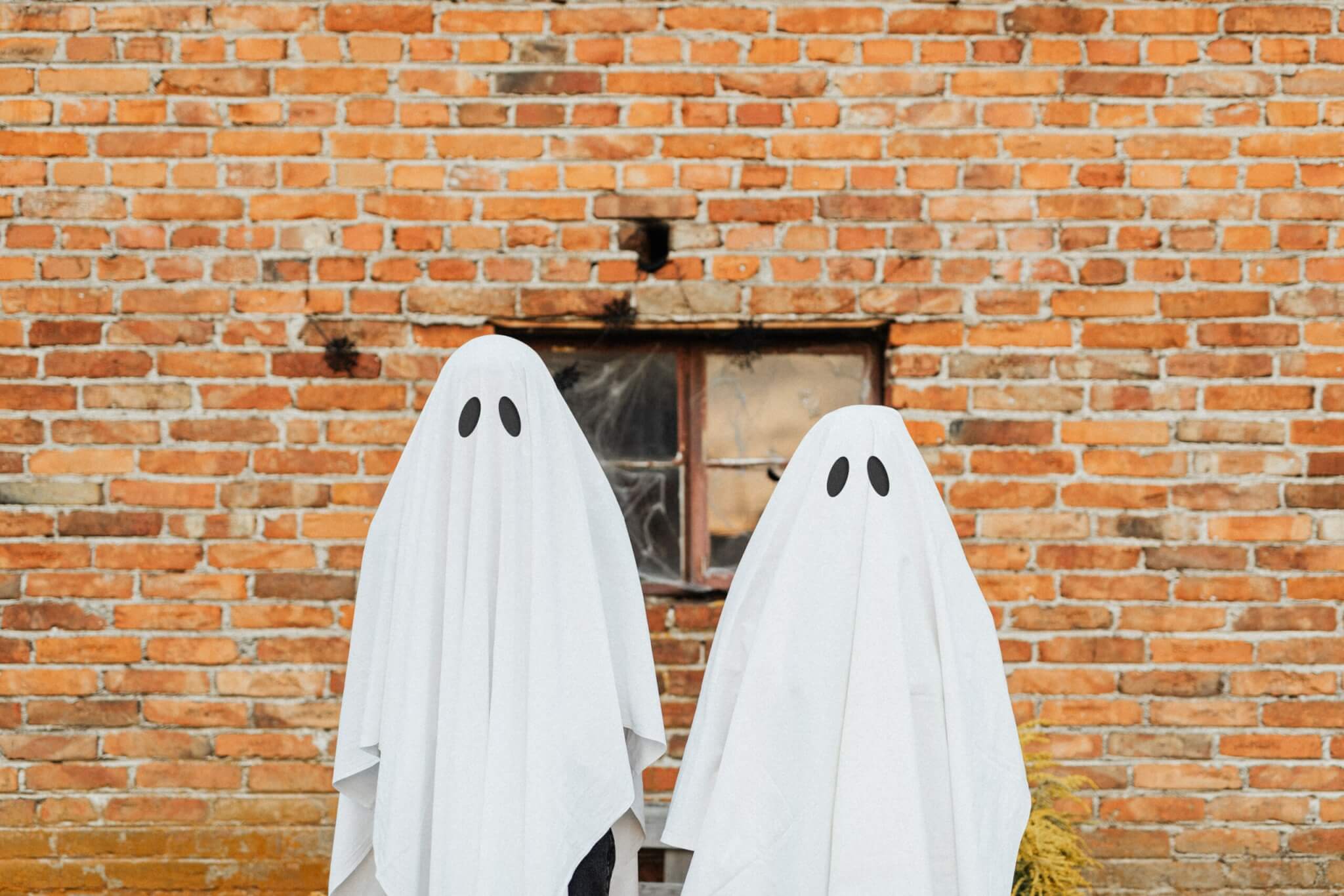 Ghosts over government: People believe in spirits more than they trust ...