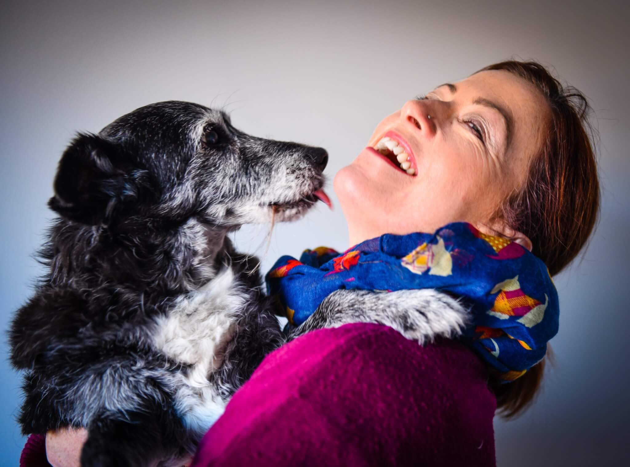 Can you teach an old dog or cat new tricks? Most owners agree their pet ...