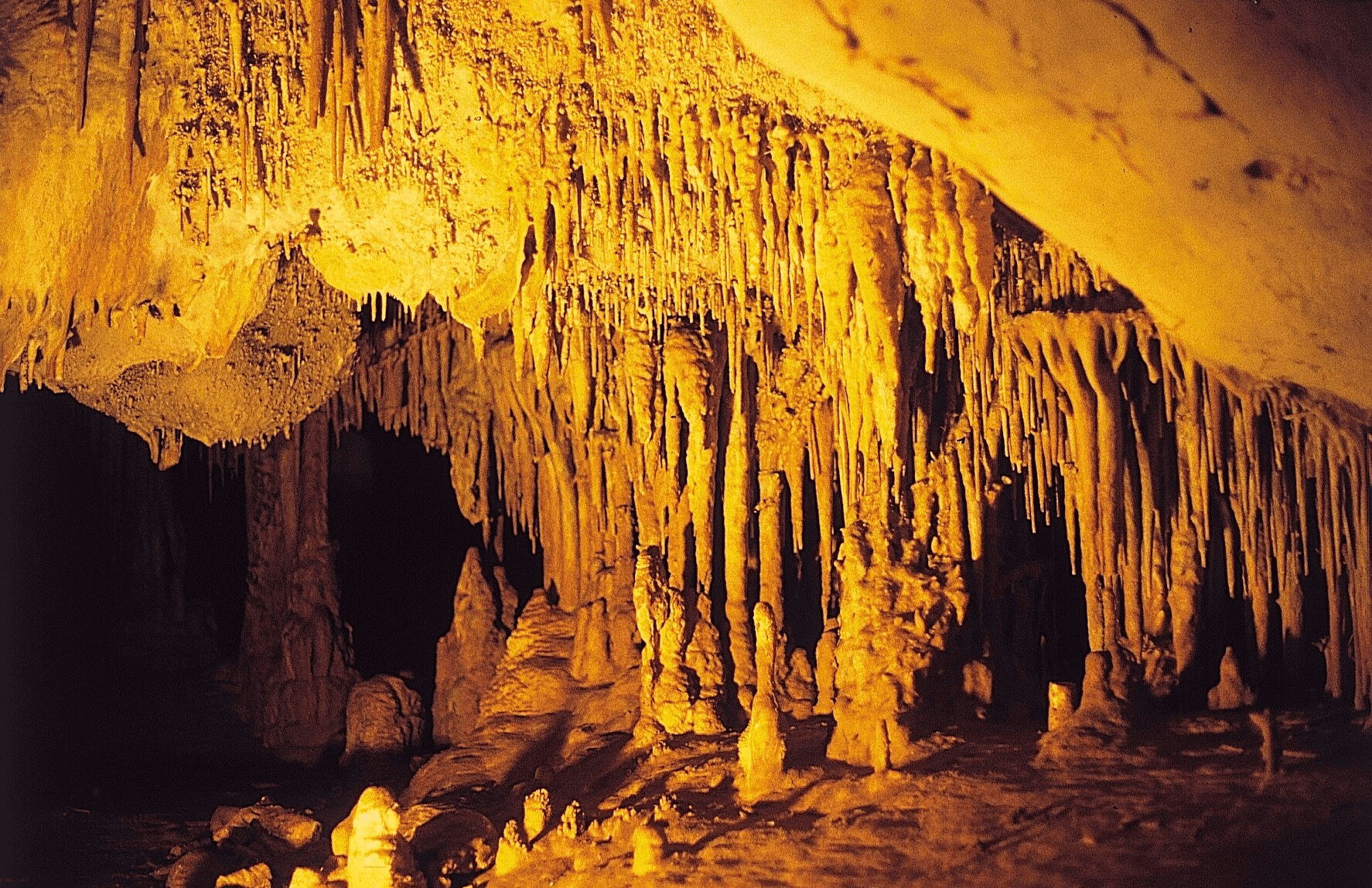 Bronze Age rave? Scientists find evidence Europeans used hallucinogenic ...