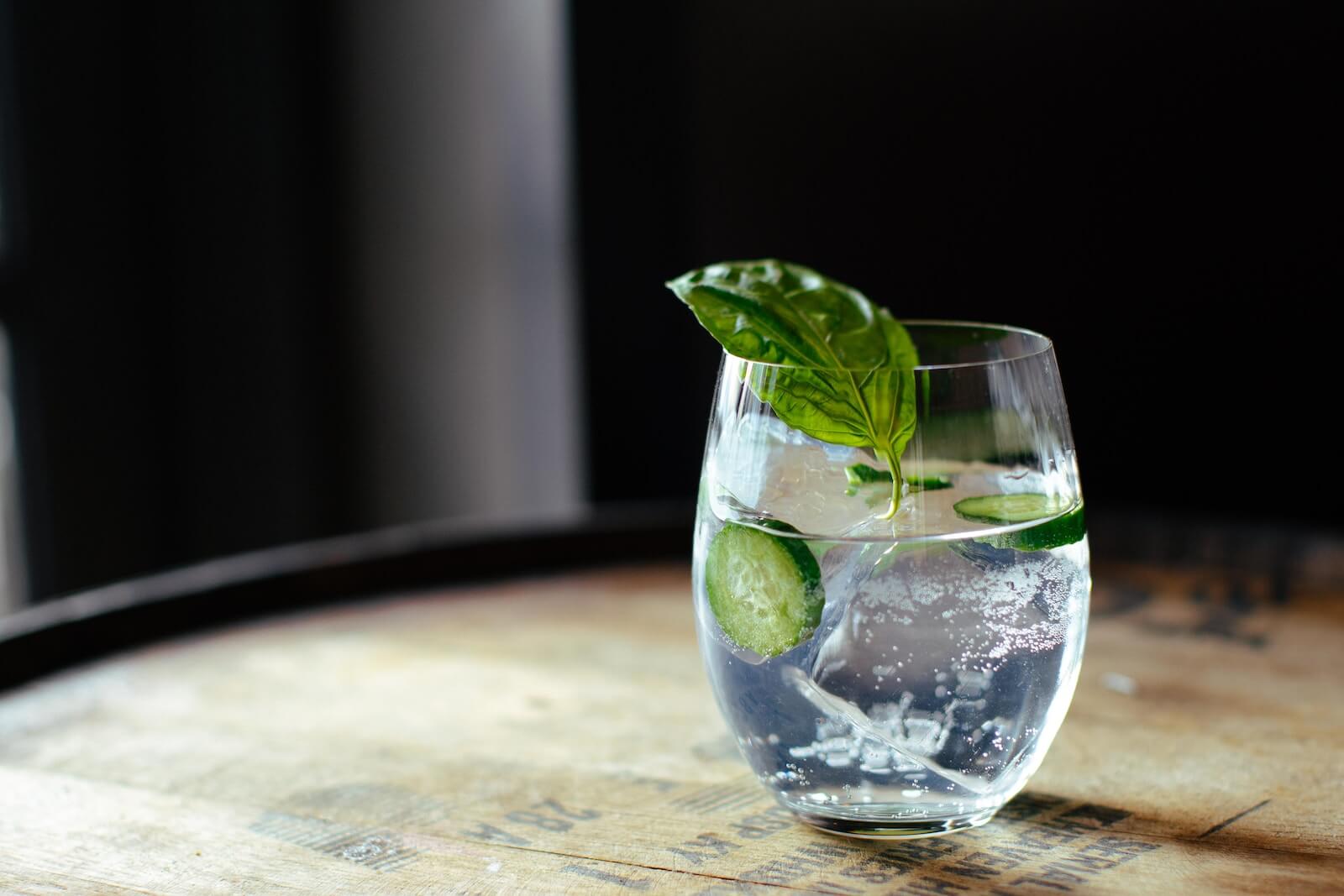 7 Best Gin Brands | StudyFinds' Consensus List