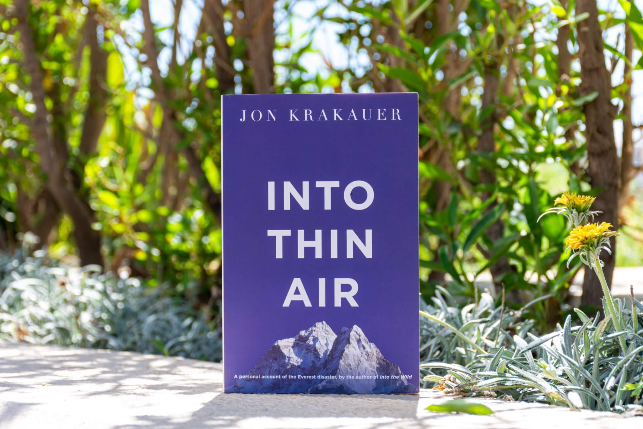 Best Narrative Non-Fiction: Top 7 Stories Most Recommended By Experts