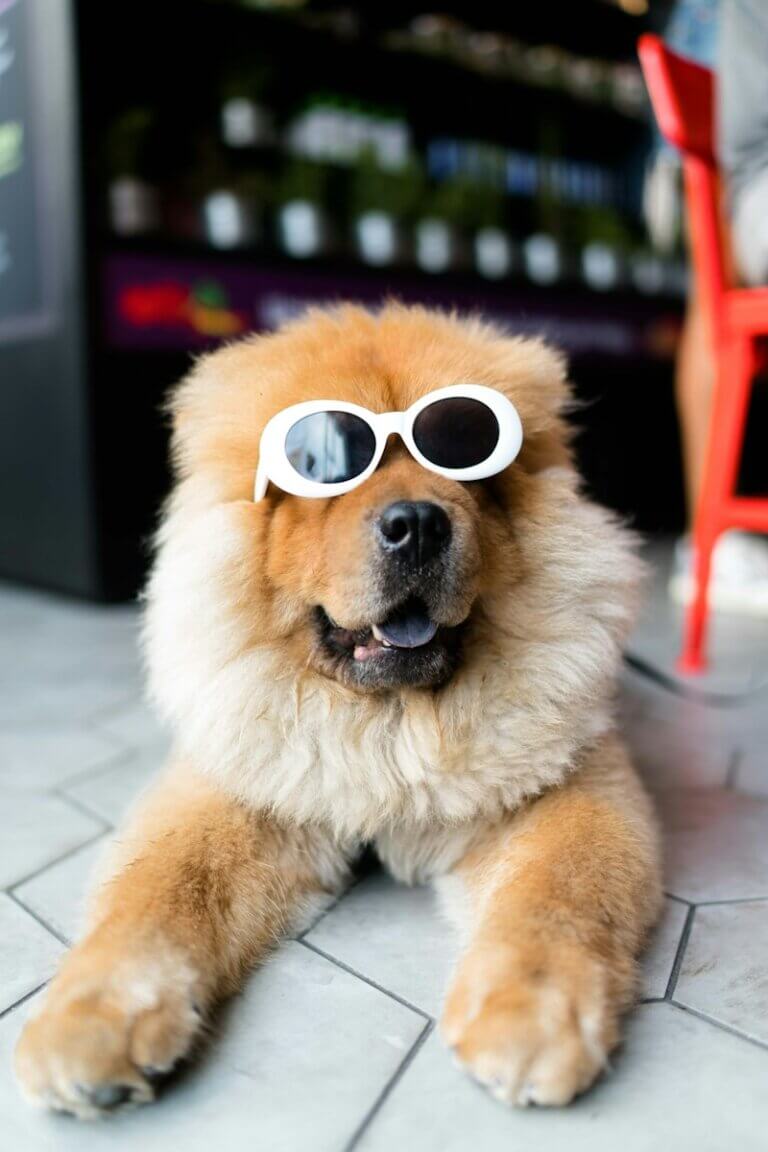 What Makes Someone Cool?