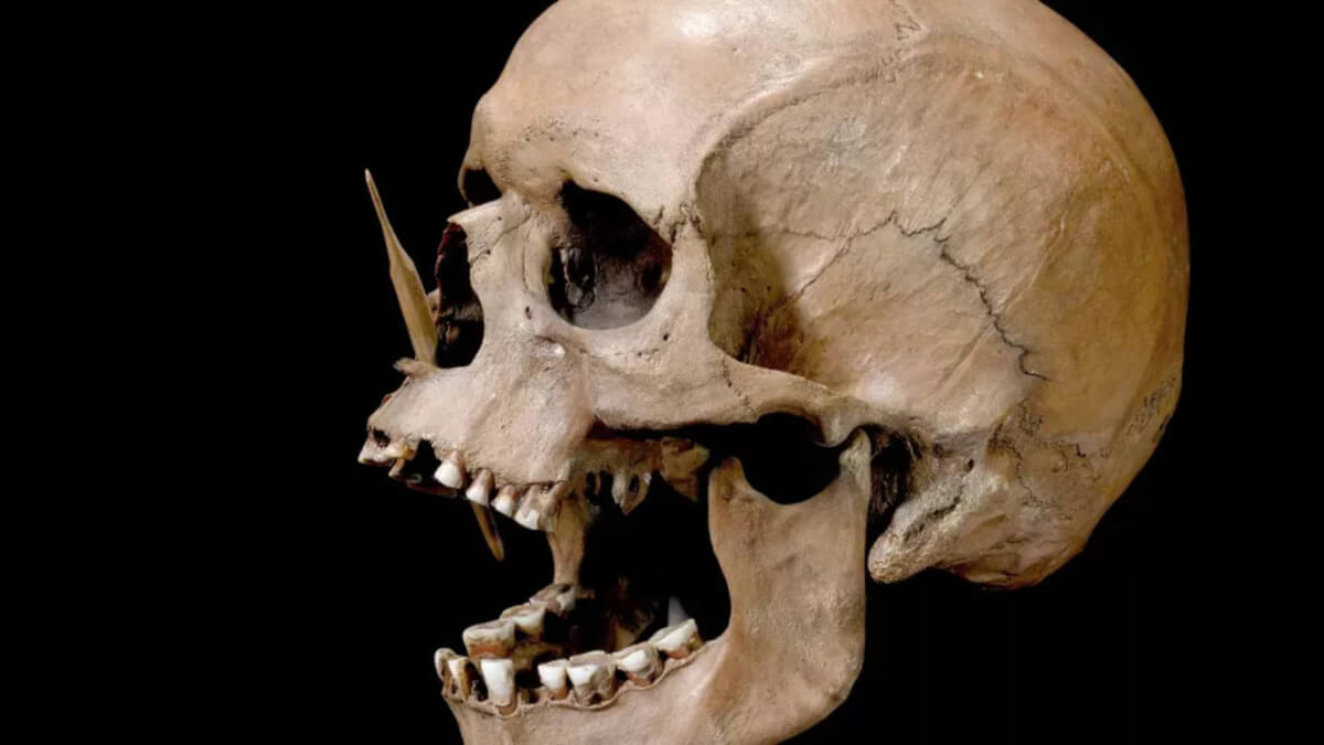 Ancient farmers used violence, disease to 'slaughter' their hunter ...
