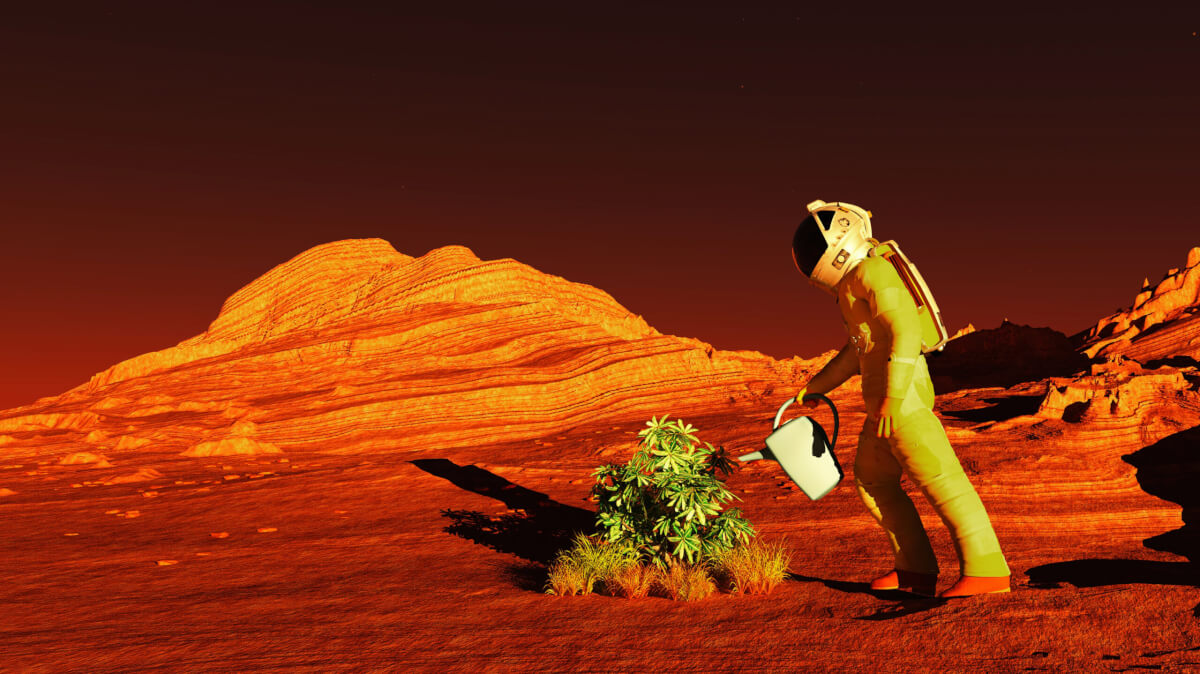 Scientists discover amazingly resilient plant that may help astronauts ...