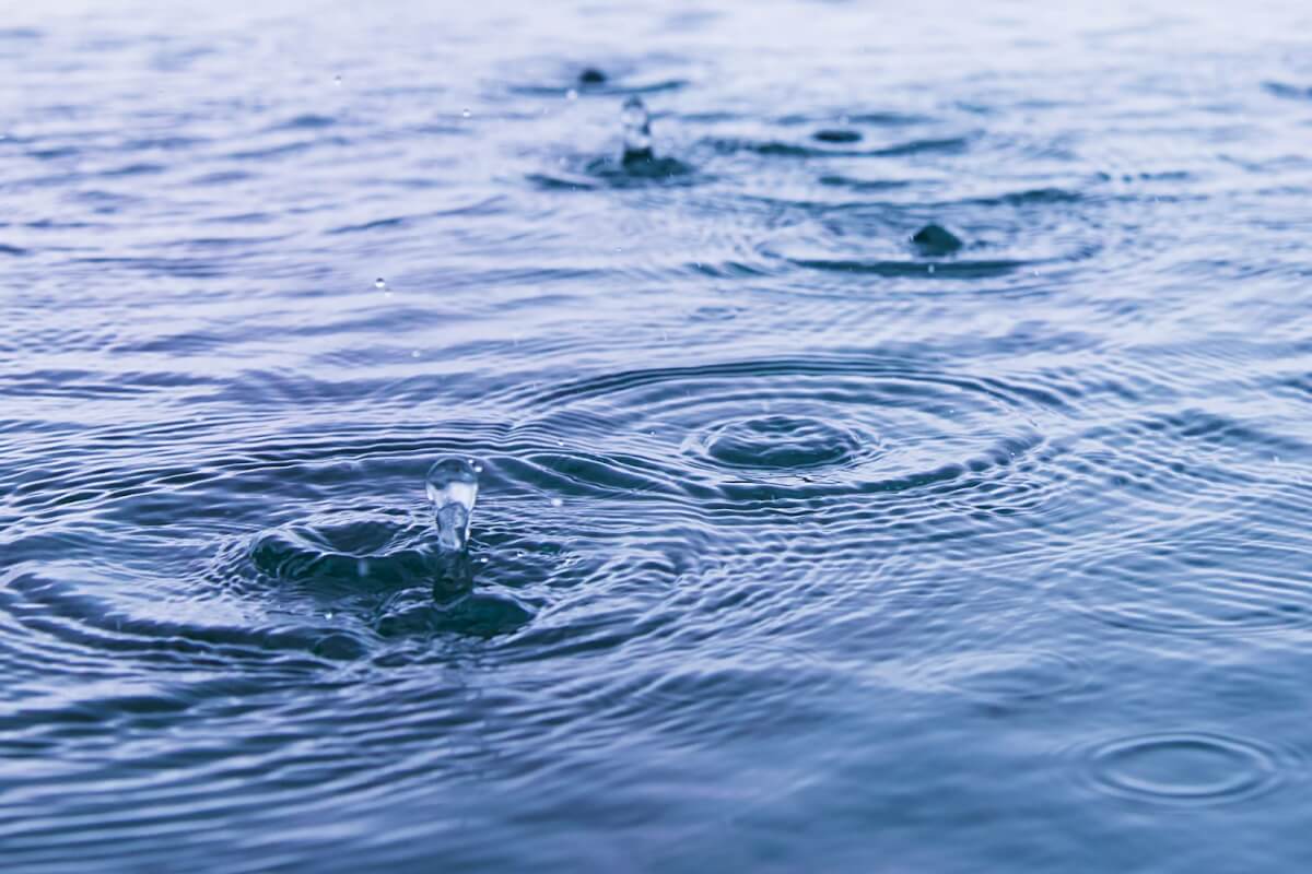 From droplets to DNA: The surprising role of rain in creating the first ...