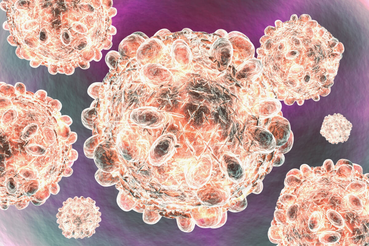 Scientists take final key step toward a hepatitis C vaccine