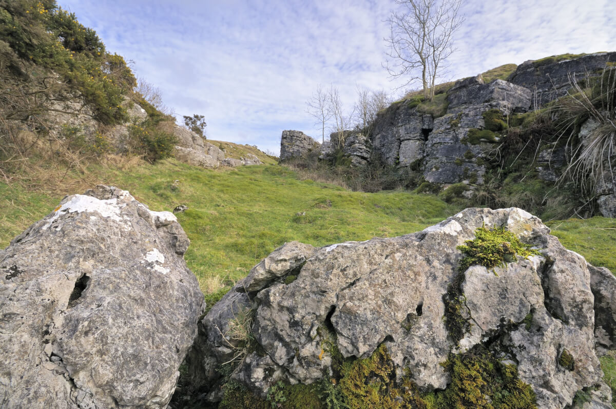 Uncovering the Brutality: Bronze Age Mass Killing in Prehistoric Britain