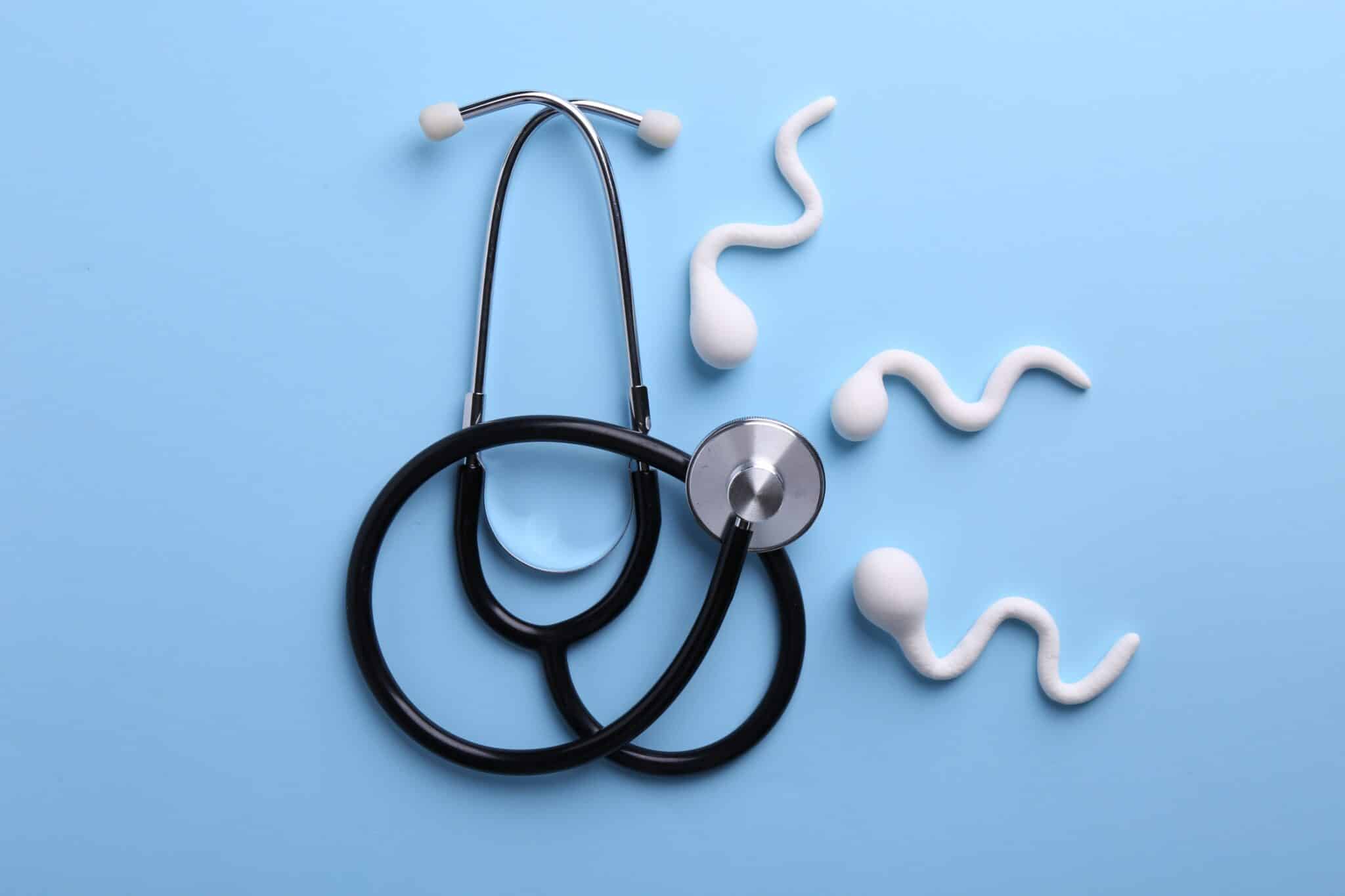 Why Testicles Hang Outside The Body: Scientists Discover Sperm's ...