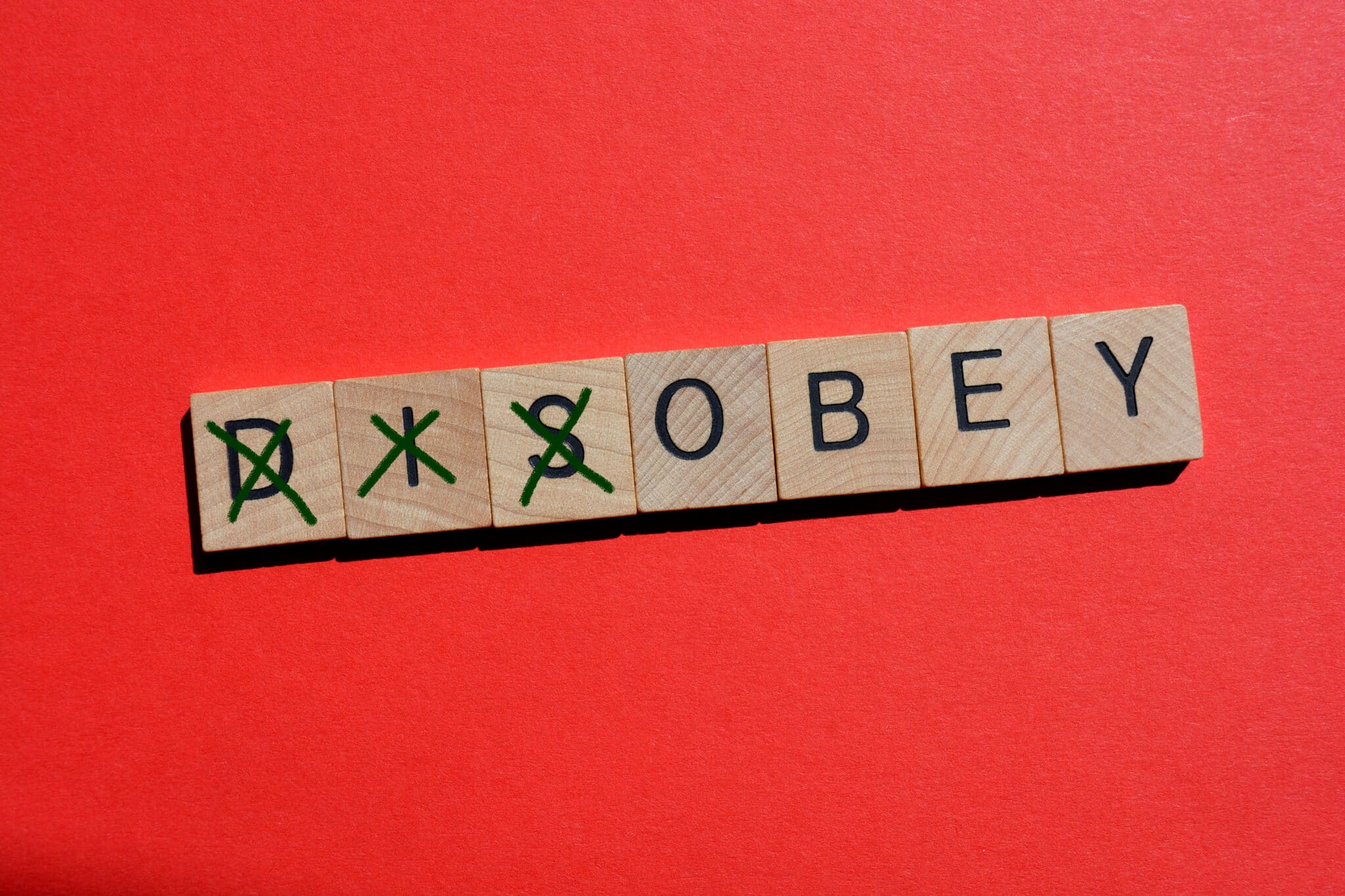 Study Investigates: Do People Obey Orders That Go Against Their Morals?