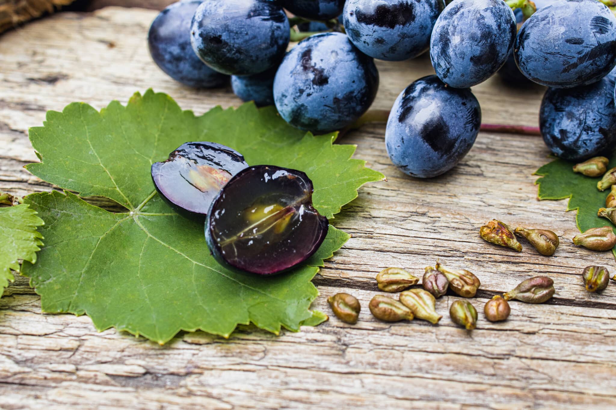 Ancient Grape Seeds Rewrite The History Of Italian Wine