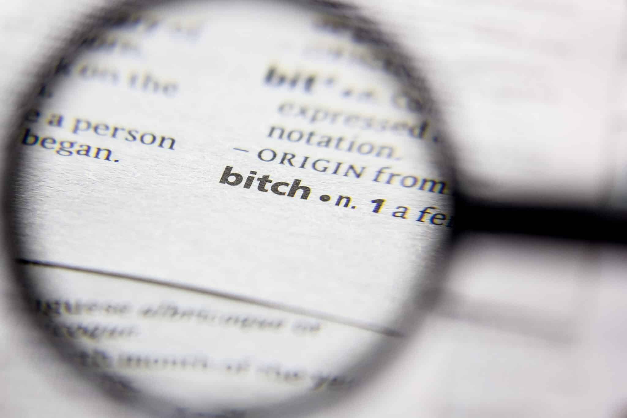 Bitch: A Word’s 1,000-Year Journey from Slur To Symbol