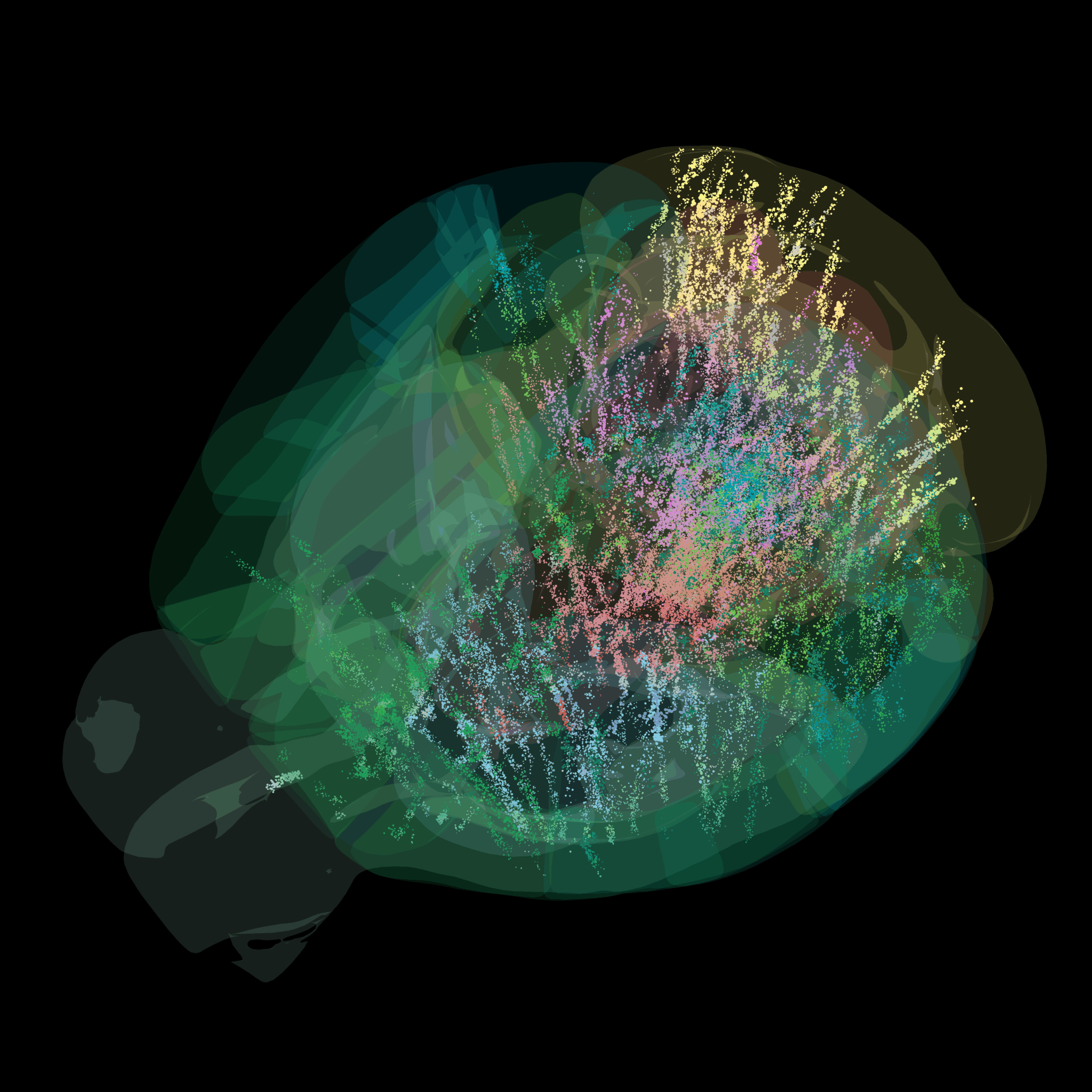 Scientists Map Complete Brain Activity During Decision Making For First ...