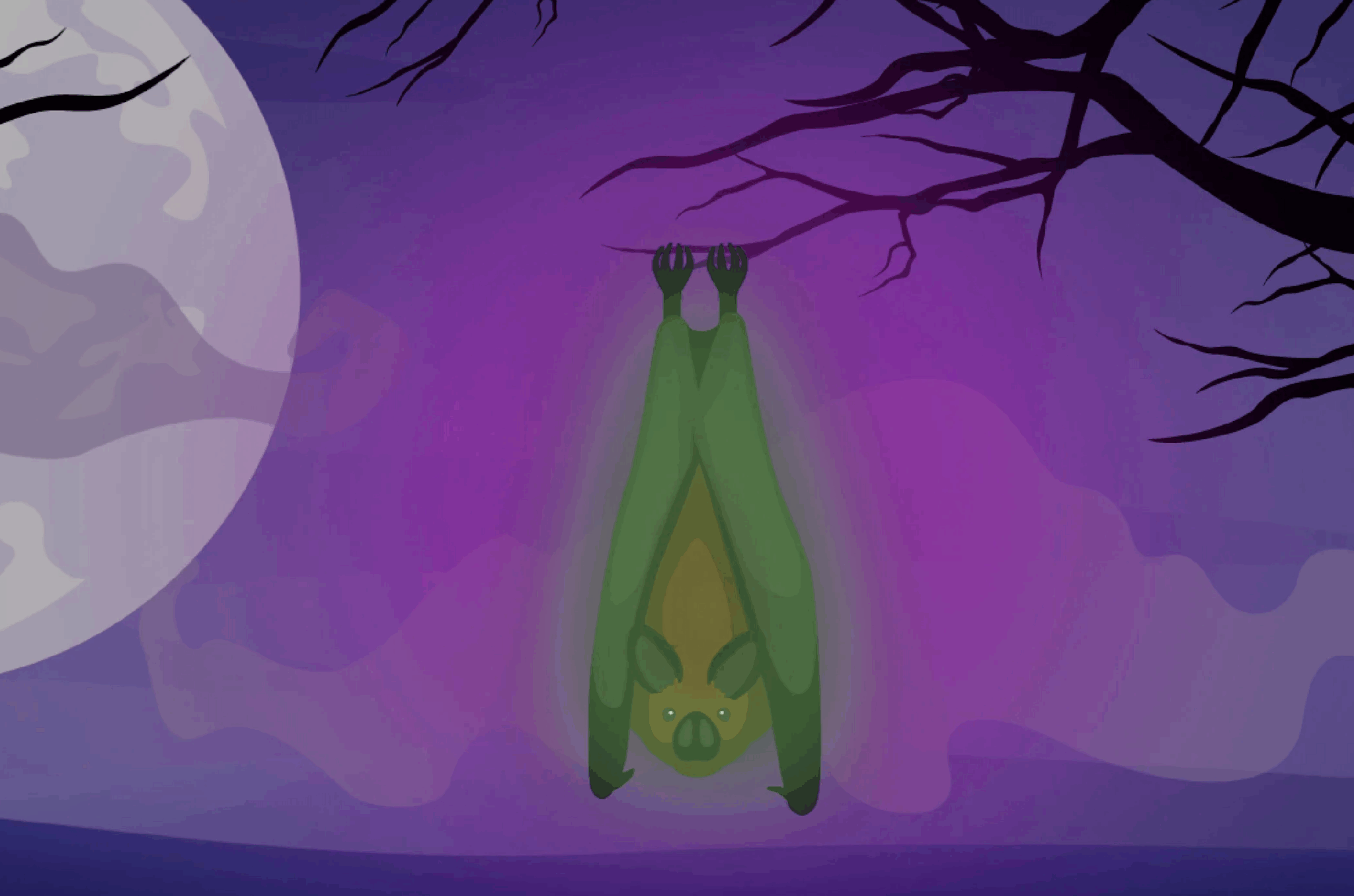 Bats Mysteriously Glow A Ghoulish Green Under UV Light, Even A Century ...