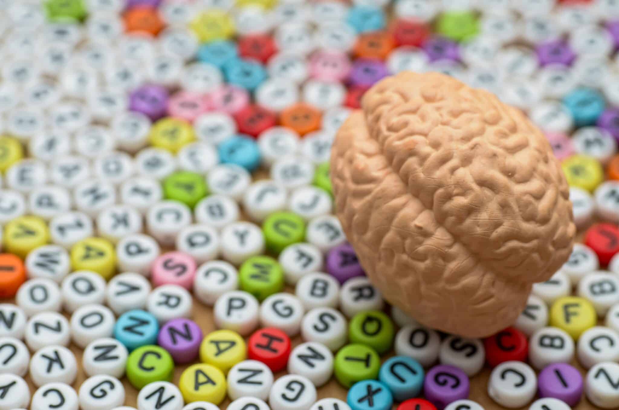 'Mind Captioning' Brain Tech Translates What You're Seeing (And ...