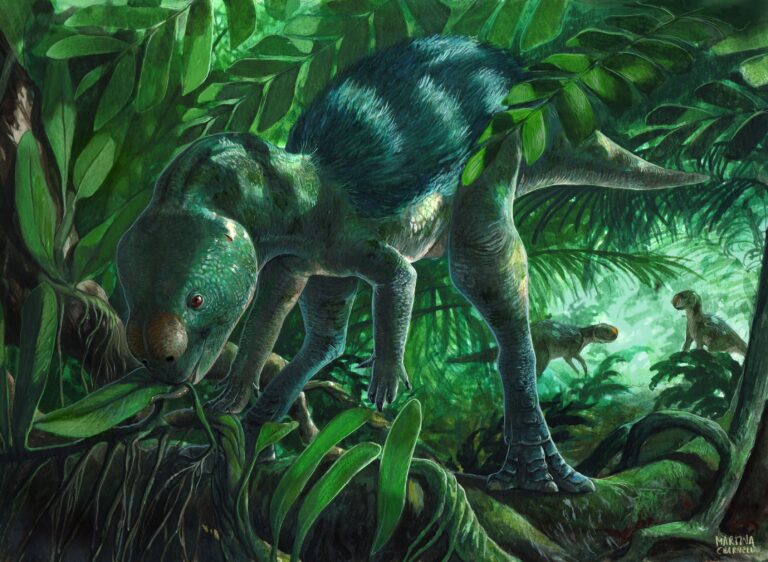 Chicken-Sized Dinosaur From Spain Rewrites 70 Million Years Of Evolution
