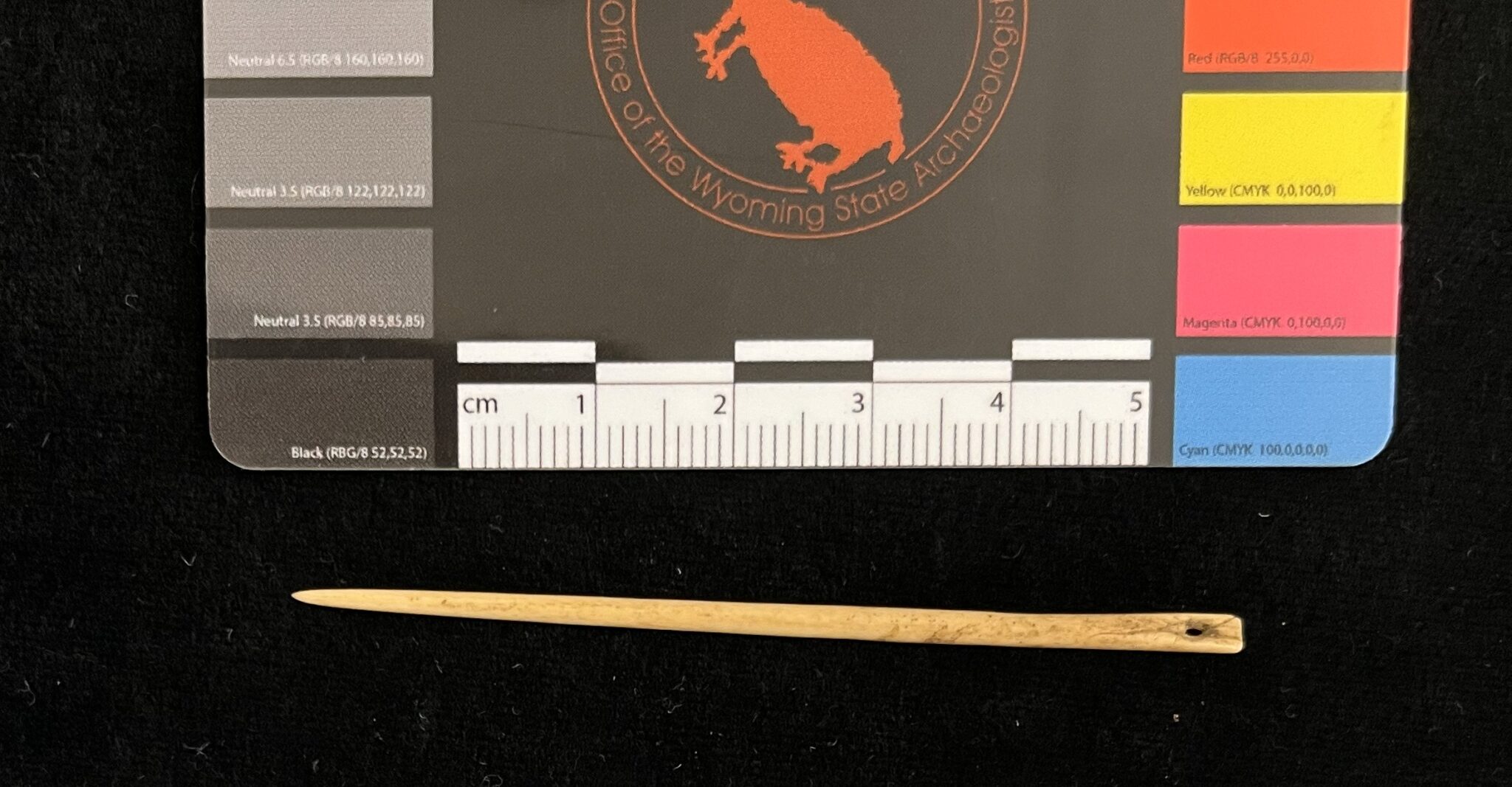 Bone Needles May Have Been The Swiss Army Knives Of Prehistoric Life